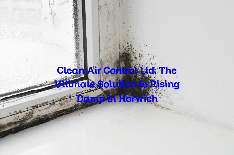 Rising Damp Solutions in Horwich