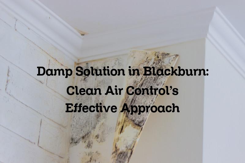 Damp Solution in Blackburn: Clean Air Control's Effective Approach