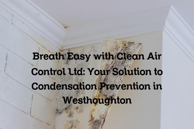 Breath Easy with Clean Air Control Ltd: Your Solution to Condensation ...