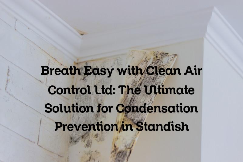 Breath Easy with Clean Air Control Ltd: The Ultimate Solution for ...
